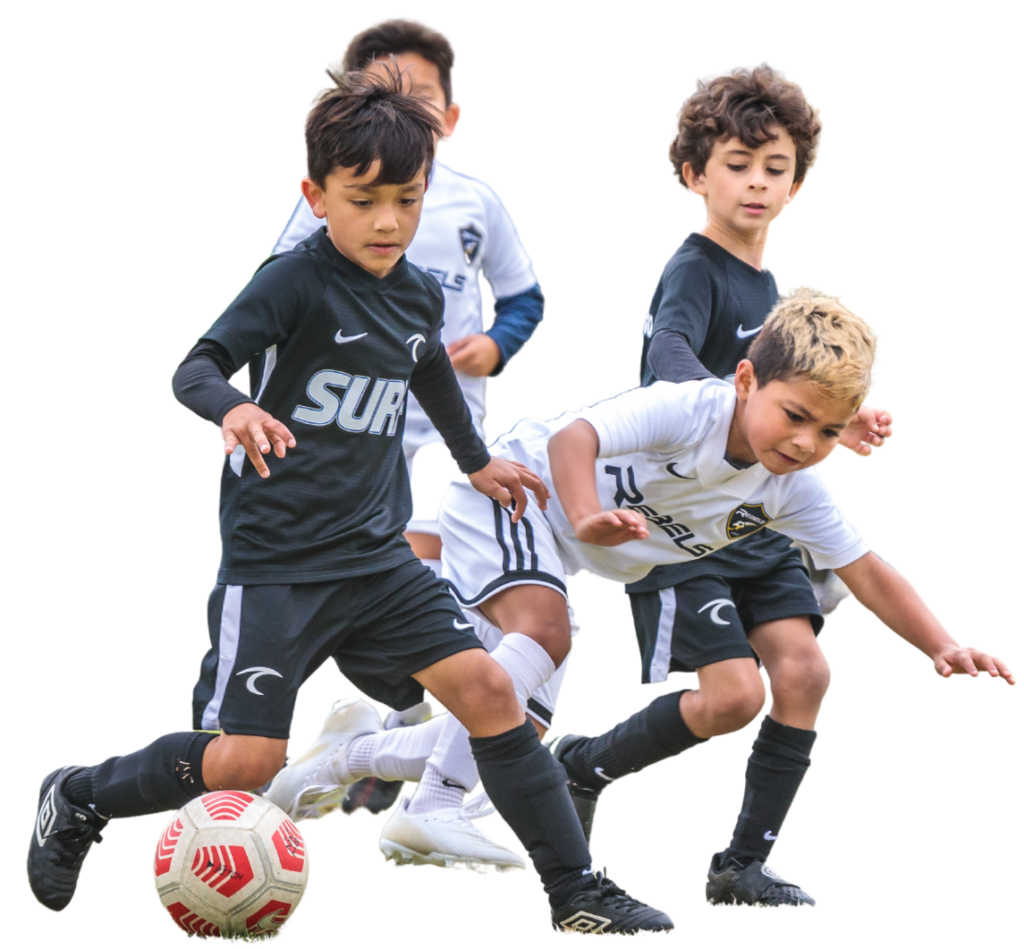 We Are Surf Nation - Surf Nation