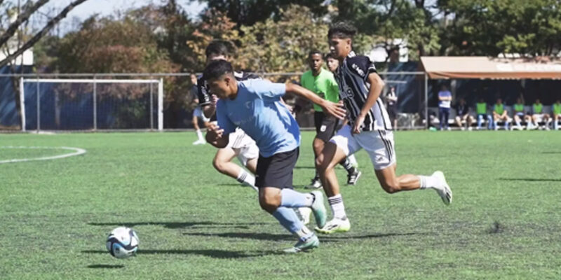 Surf Select - Surf Nation