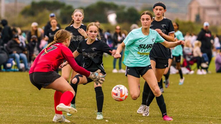 Surf Select - Surf Nation